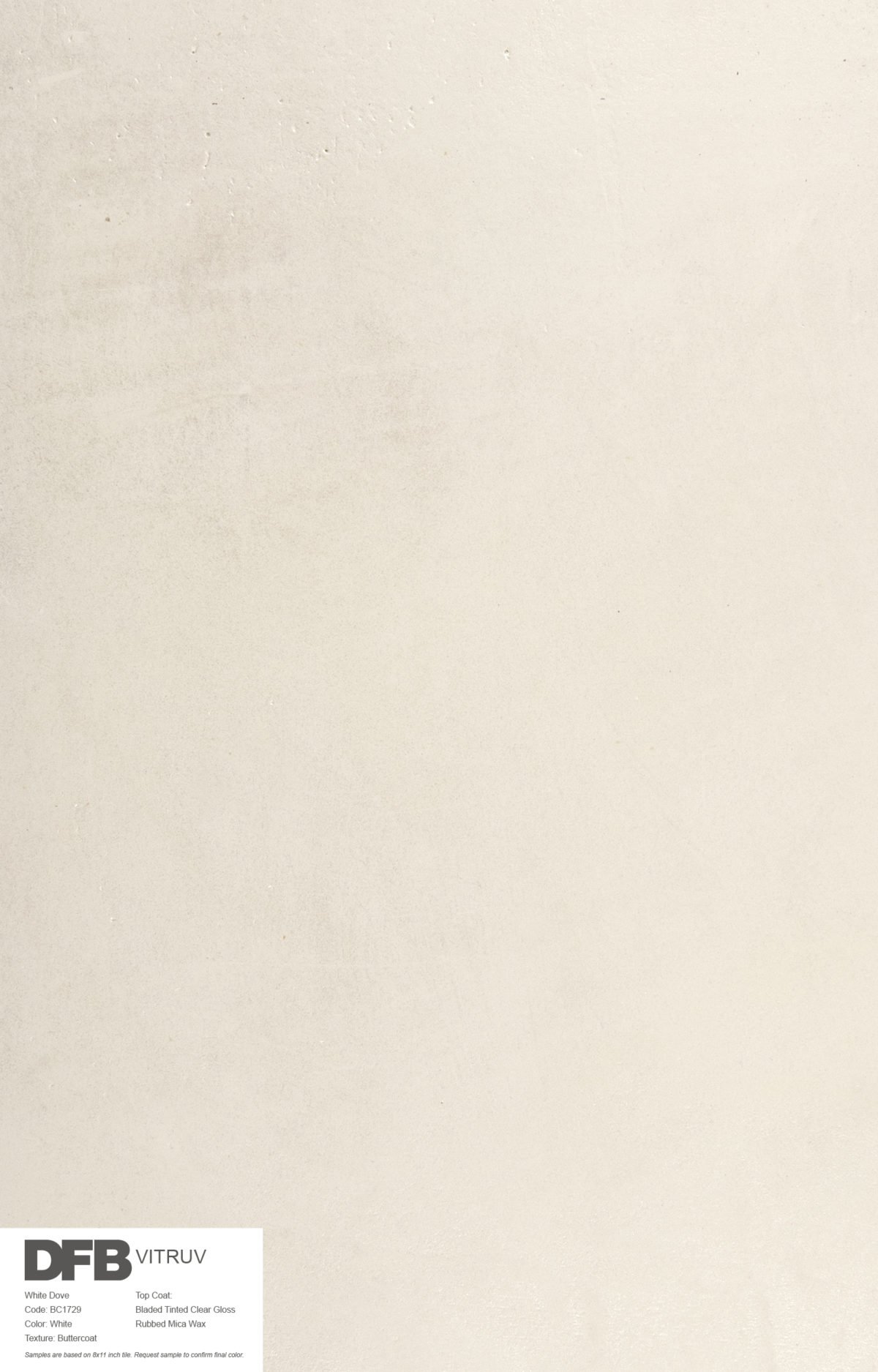 Buttercoat - Best photos on ksp.org.tw