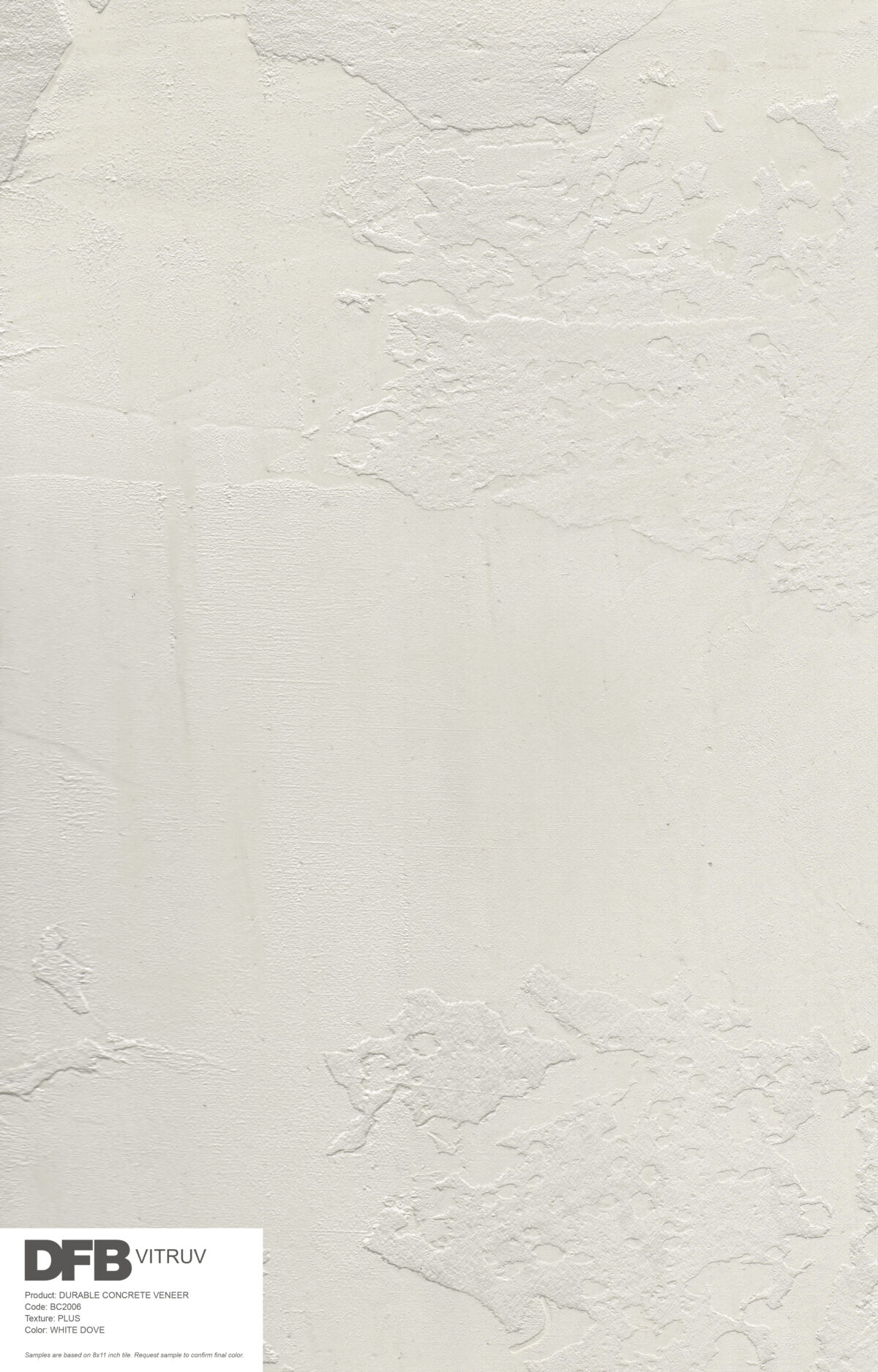 Buttercoat - Best photos on ksp.org.tw