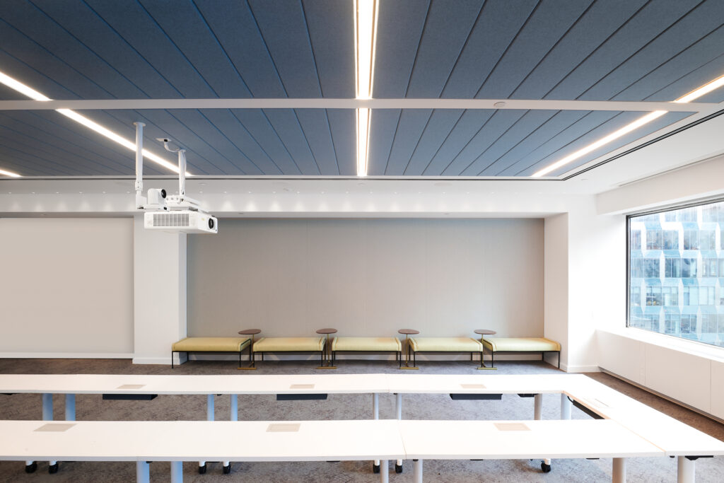 Techzone Ceiling Revit | Shelly Lighting